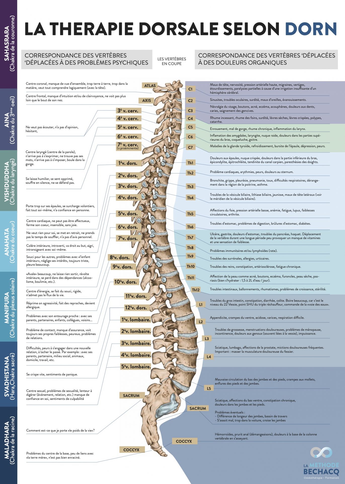 La méthode Dorn - Ostéothérapie Tissulaire Réflexe | La Méthode Béchacq