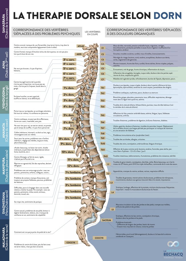 La méthode Dorn - Ostéothérapie Tissulaire Réflexe | La Méthode Béchacq